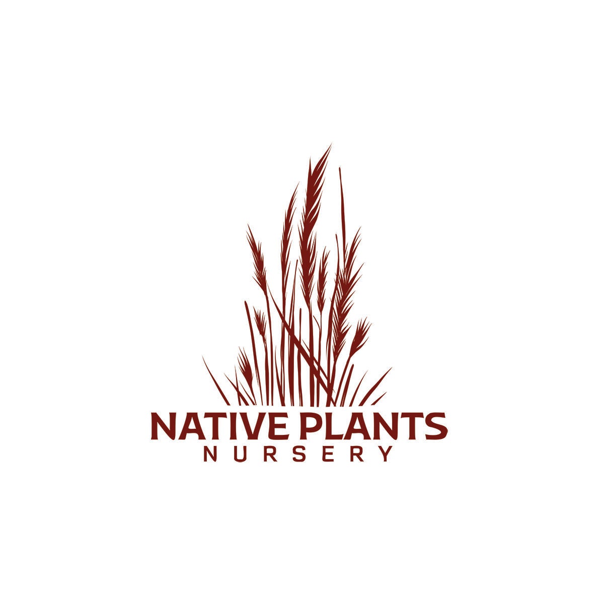 Native Plants Nursery | Native Plants